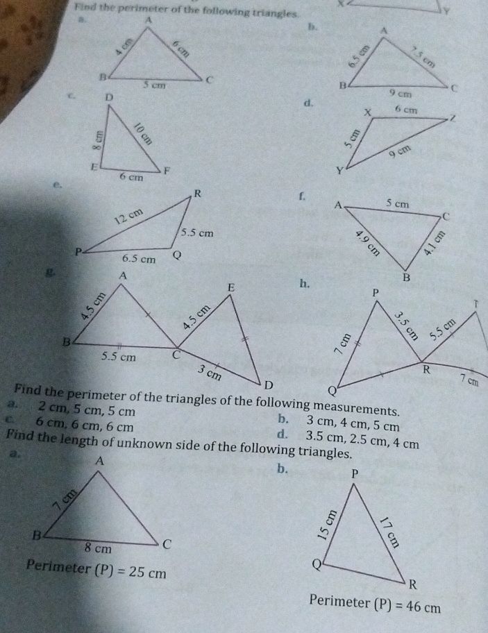 Find the perimeter of the following | StudyX