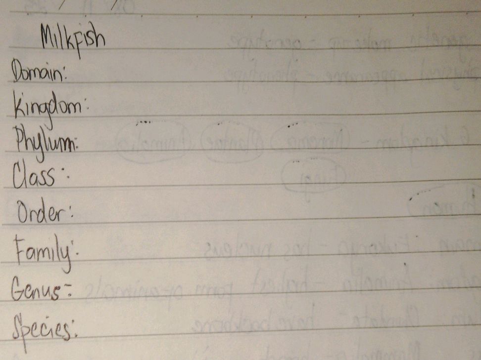 Milkpish Domain: Kingdom: Phyllium: Class: | StudyX