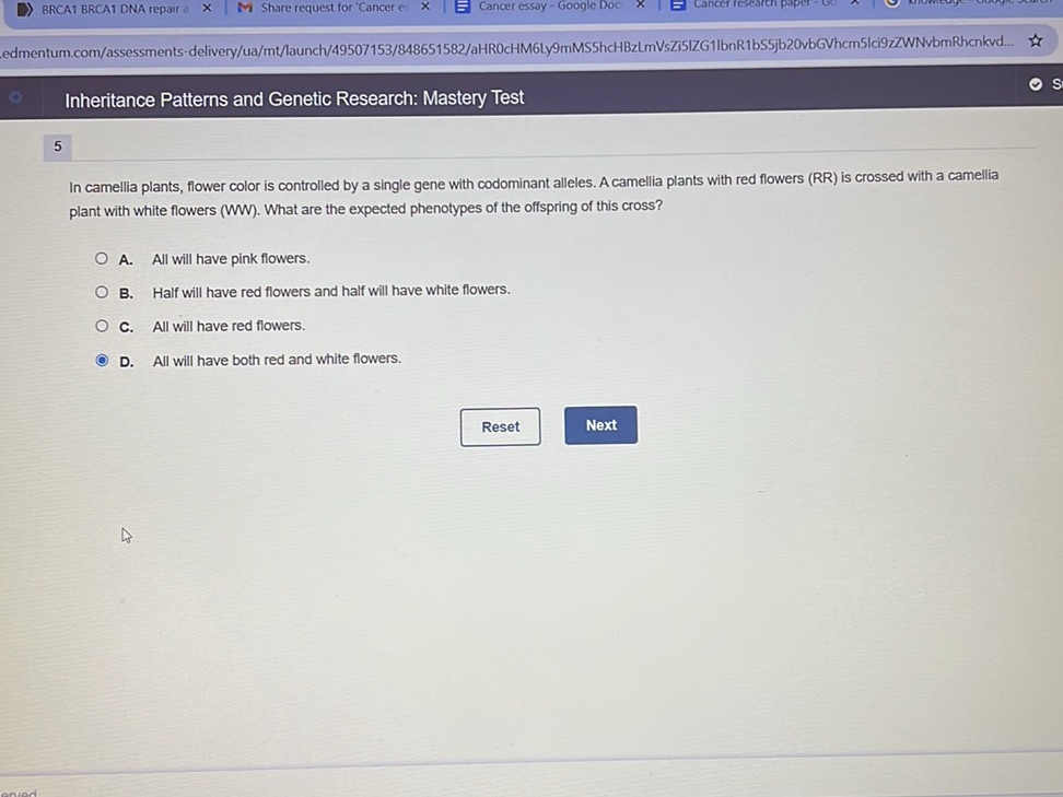 In camellia plants, flower color is | StudyX