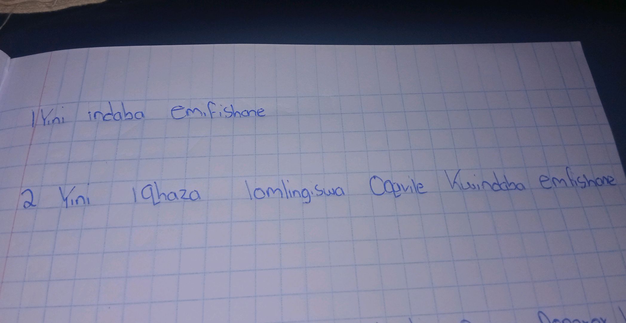 1 Yini indaba Emfishane 2 Yini iqhaza | StudyX