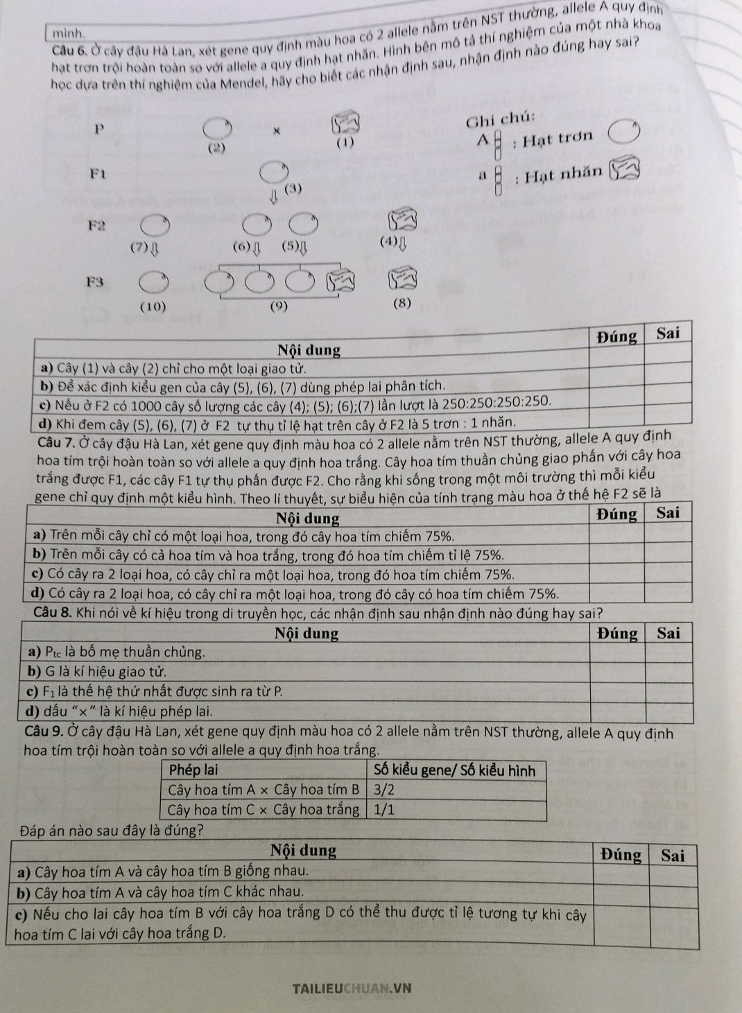 Câu 6. Ở cây đậu Hà Lan, xét gene quy định | StudyX
