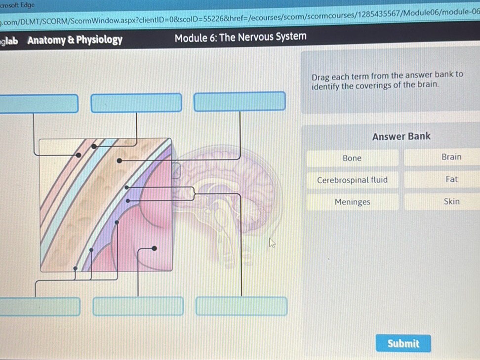 Drag each term from the answer bank to | StudyX