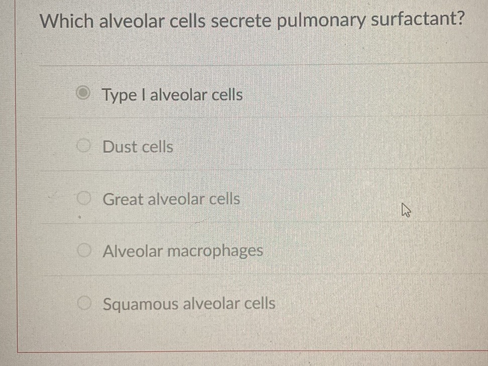 Which alveolar cells secrete pulmonary | StudyX