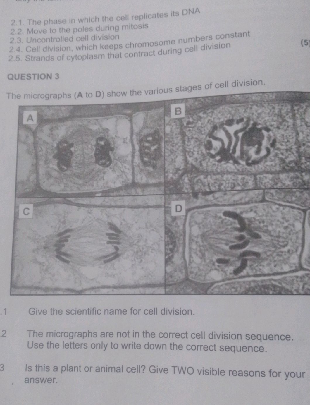 The micrographs (A to D) show the various