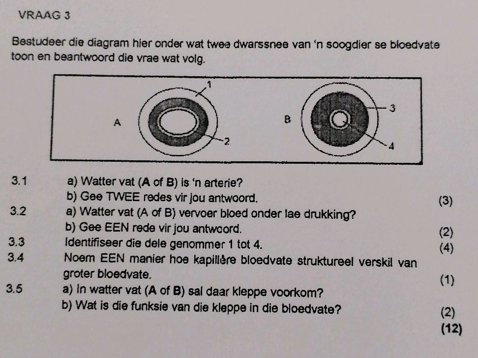 VRAAG 3 Bestudeer die diagram hier onder wat