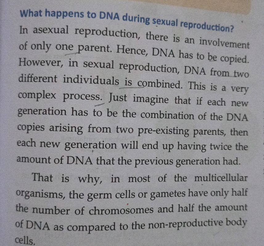 What happens to DNA during sexual | StudyX