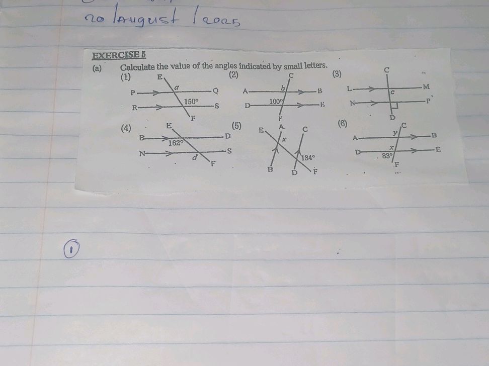 EXERCISE 5 Calculate the value of the angles | StudyX