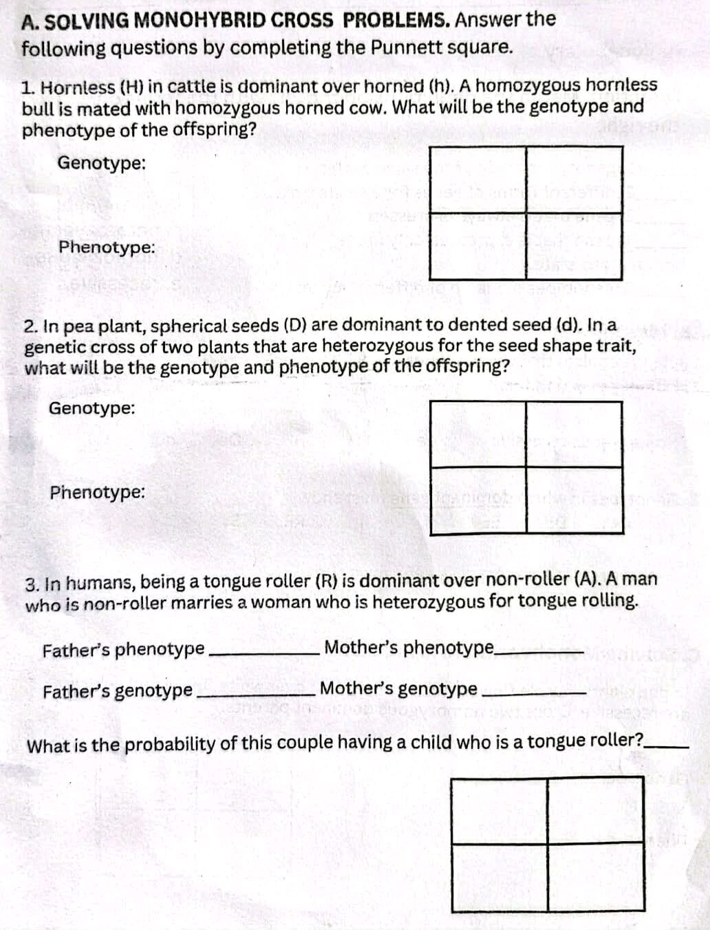 A. SOLVING MONOHYBRID CROSS PROBLEMS. Answer | StudyX
