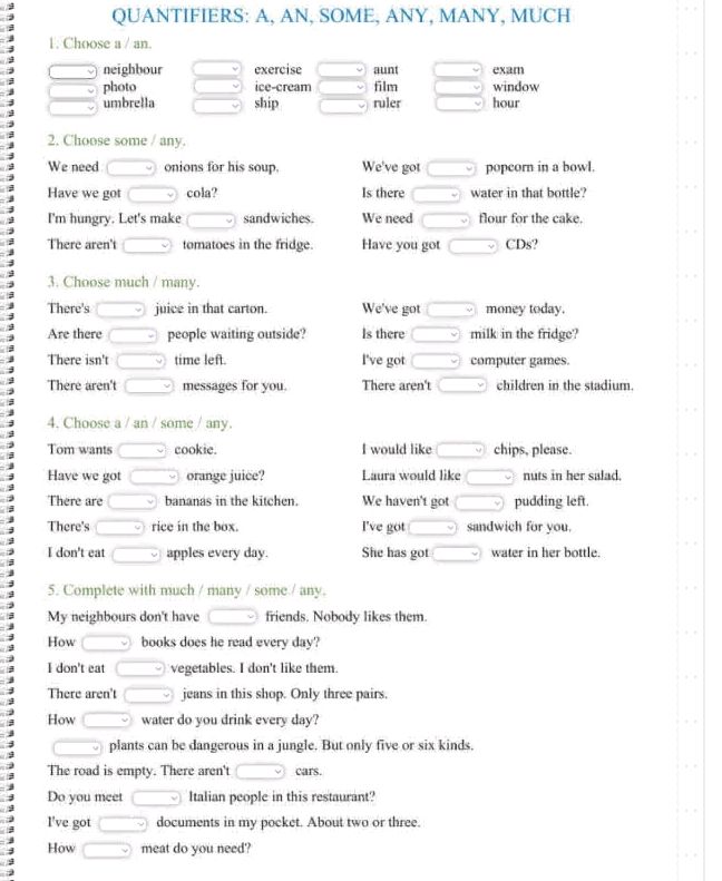 QUANTIFIERS: A, AN, SOME, ANY, MANY, MUCH 1. | StudyX