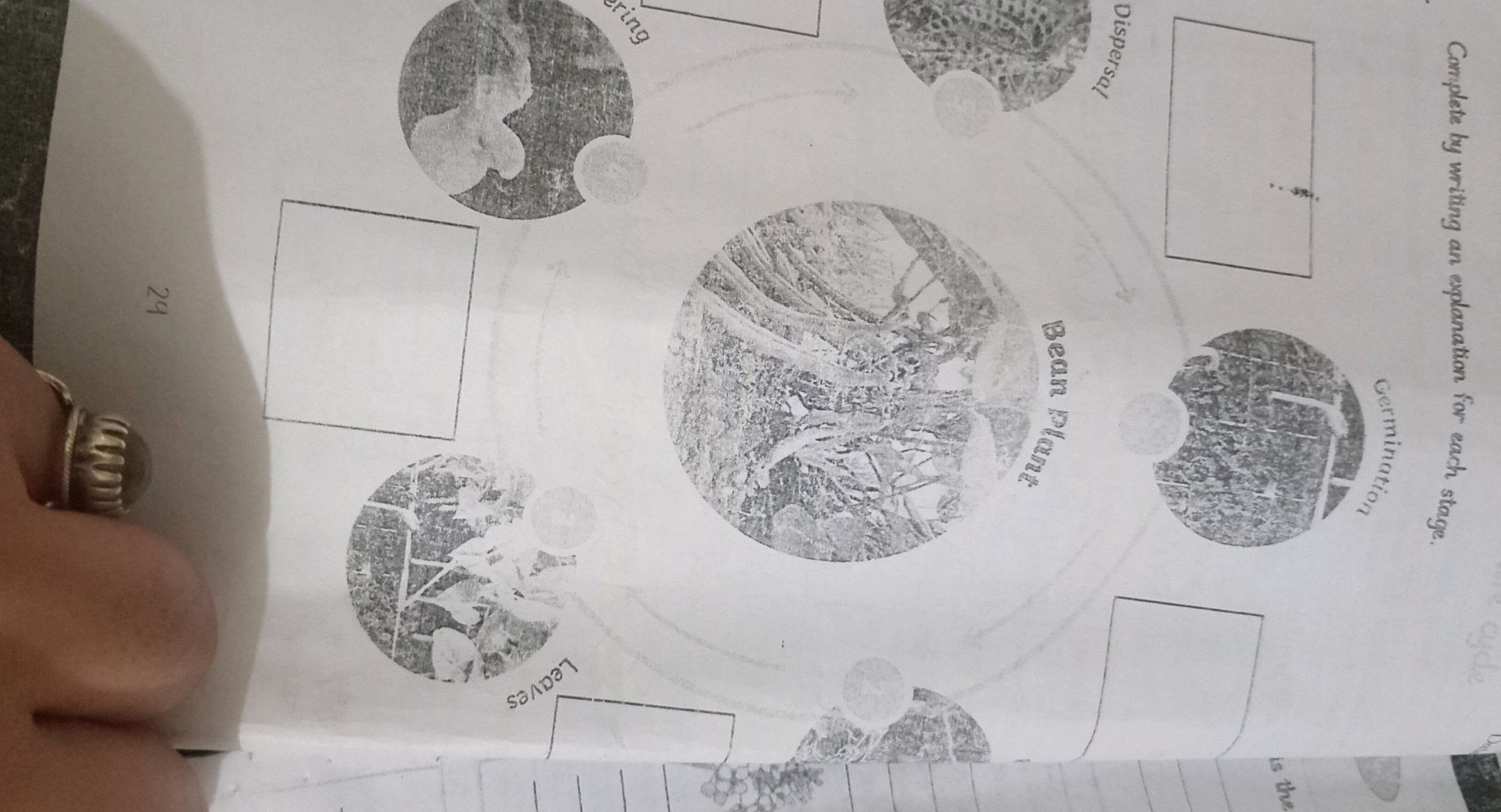 Complete by writing an explanation for each | StudyX