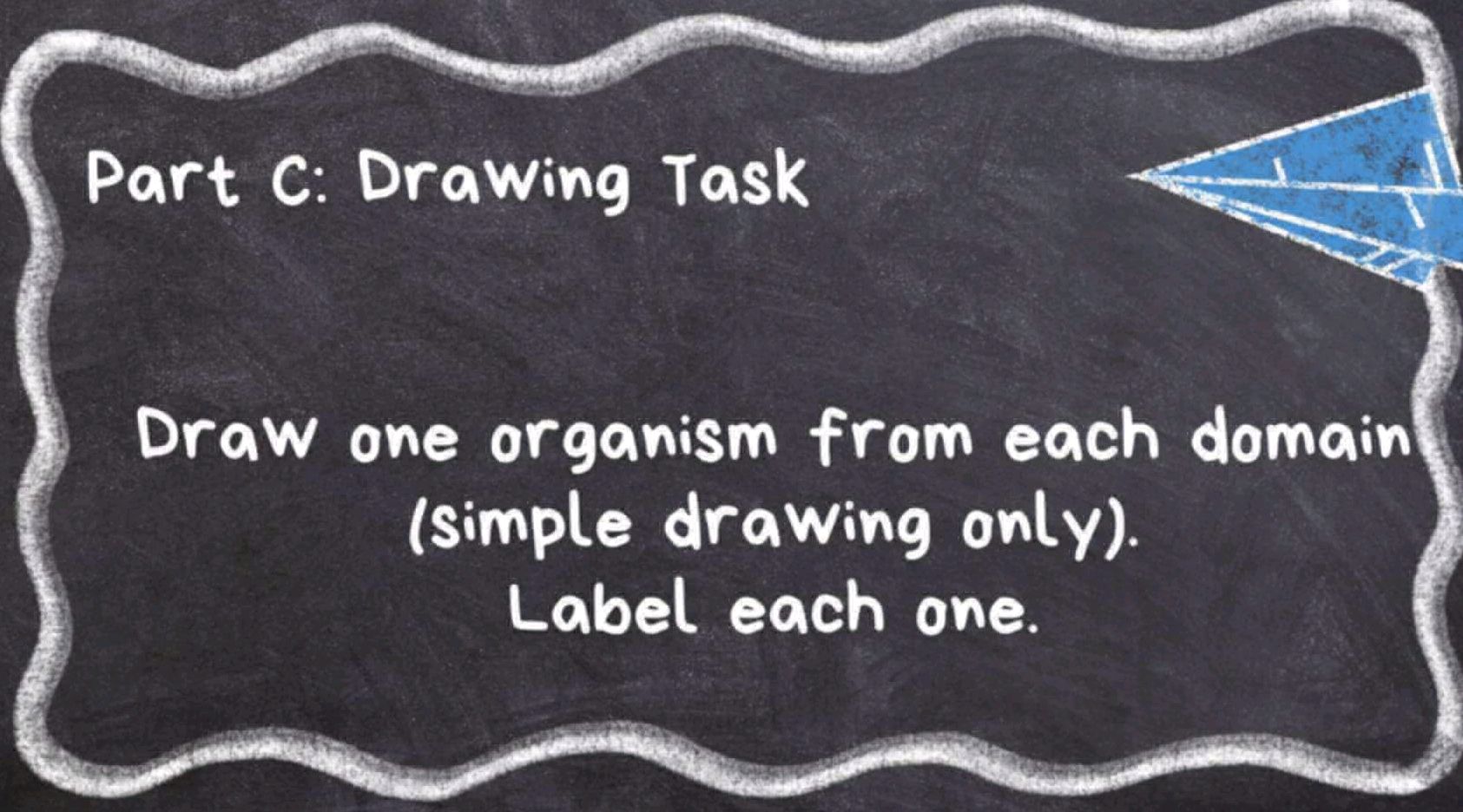 Part C: Drawing Task Draw one organism from