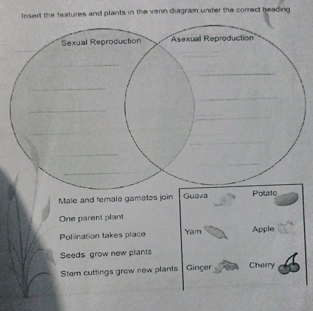 Insert the features and plants in the venn | StudyX