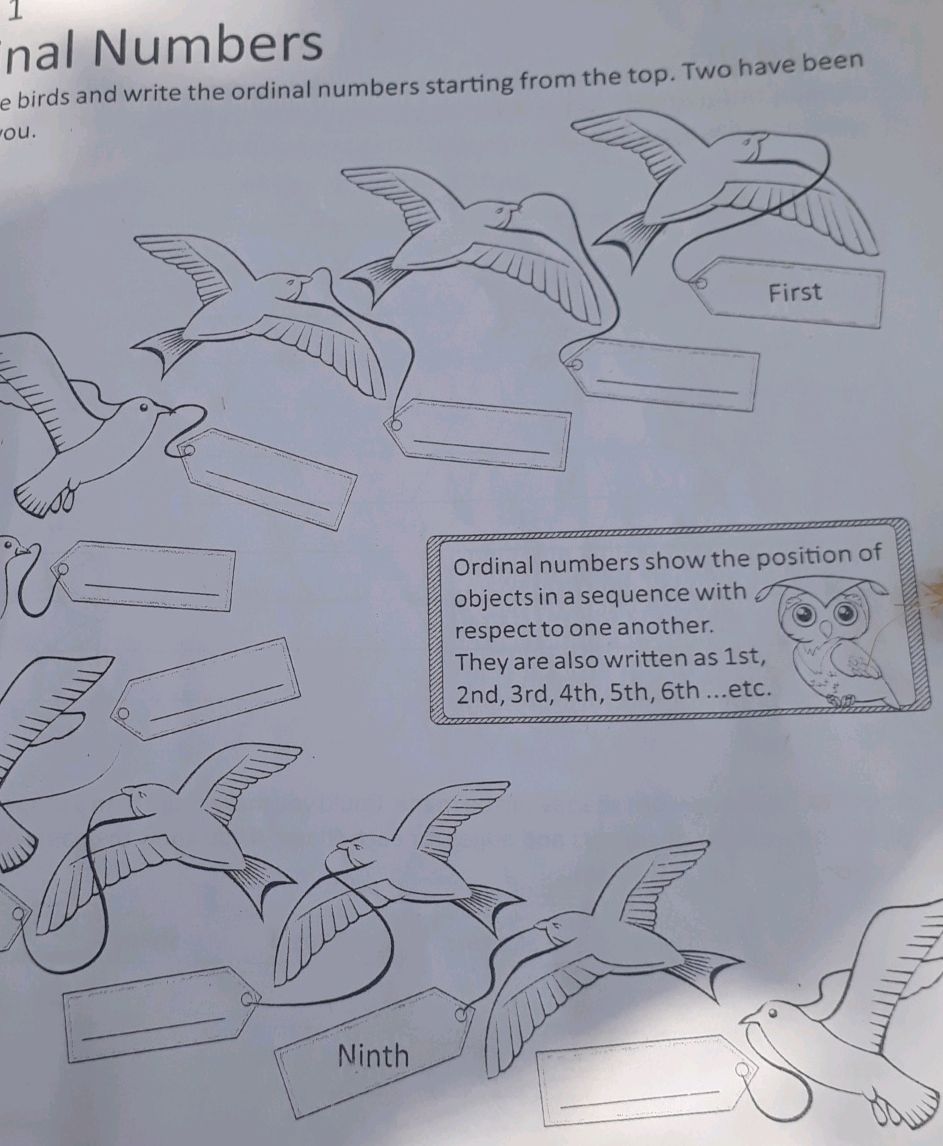 Write the ordinal numbers starting from the | StudyX
