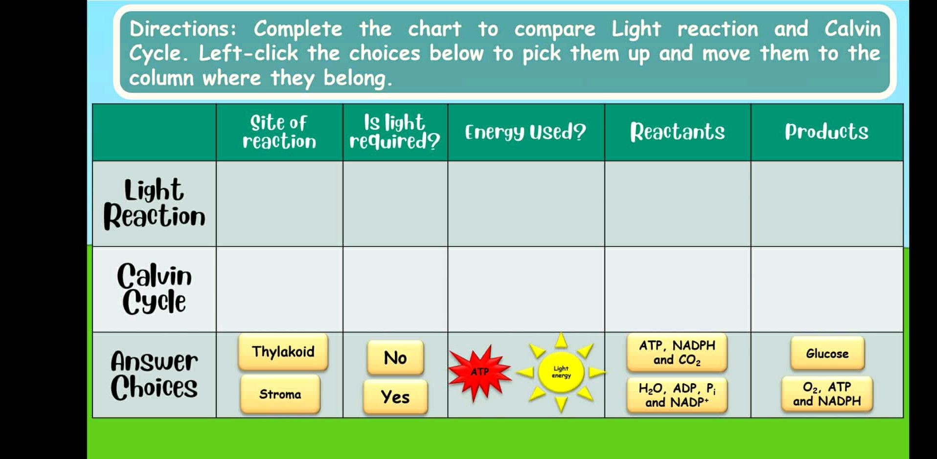 Directions: Complete the chart to compare