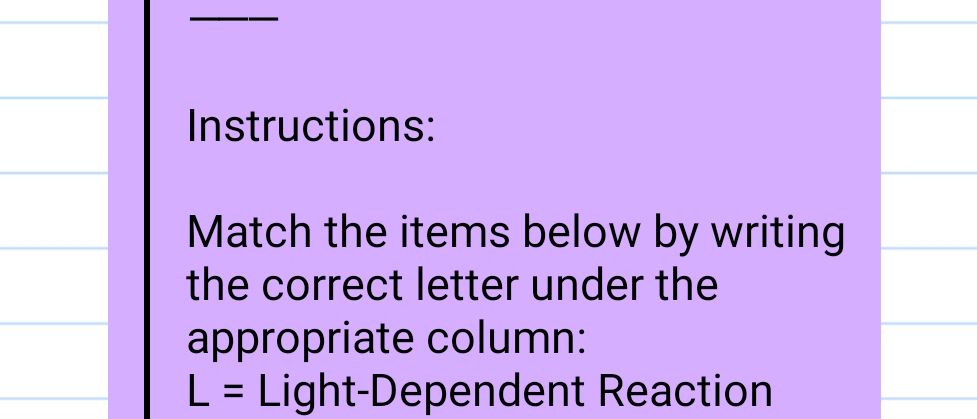 Instructions: Match the items below by | StudyX