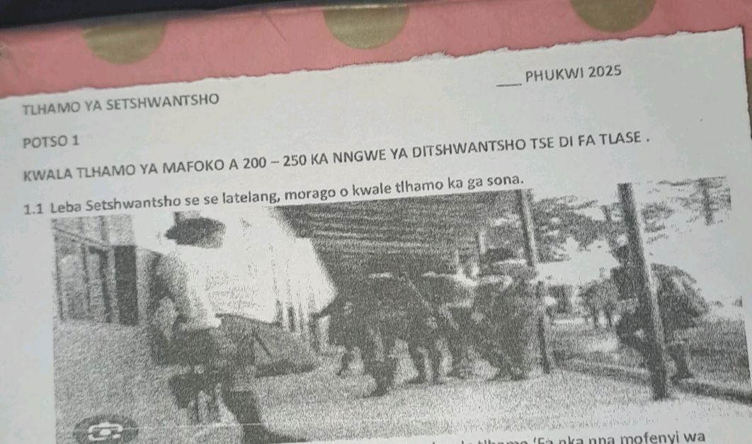 TLHAMO YA SETSHWANTSHO POTSO 1 KWALA | StudyX