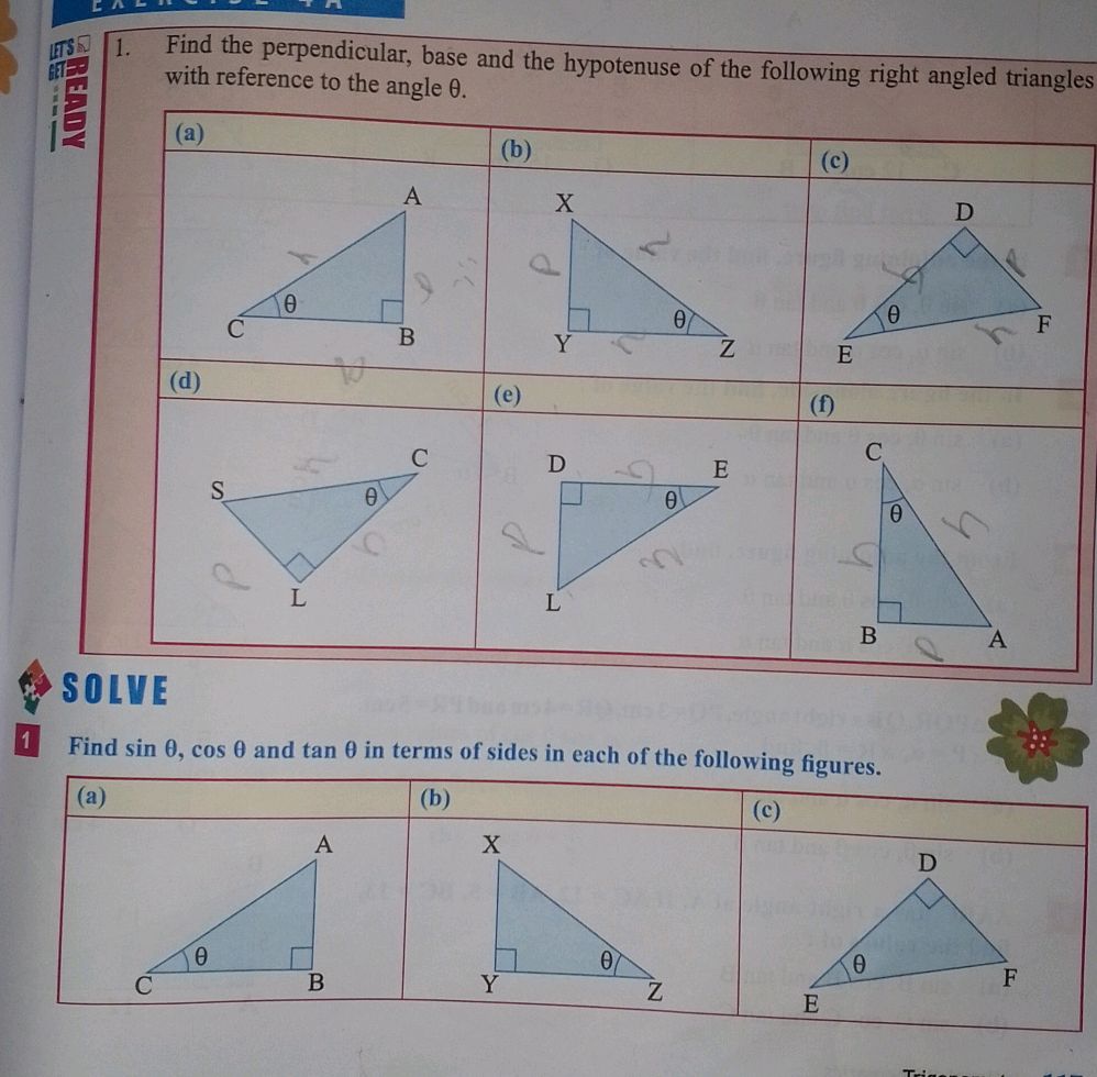 Find the perpendicular, base and the
