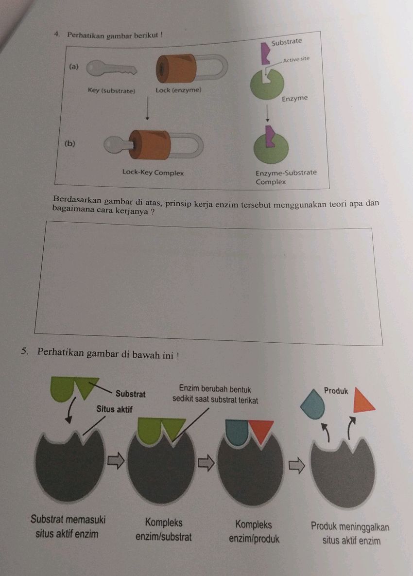 4. Perhatikan gambar berikut! (a) (b) | StudyX