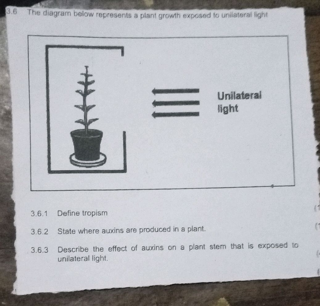 3.6 The diagram below represents a plant