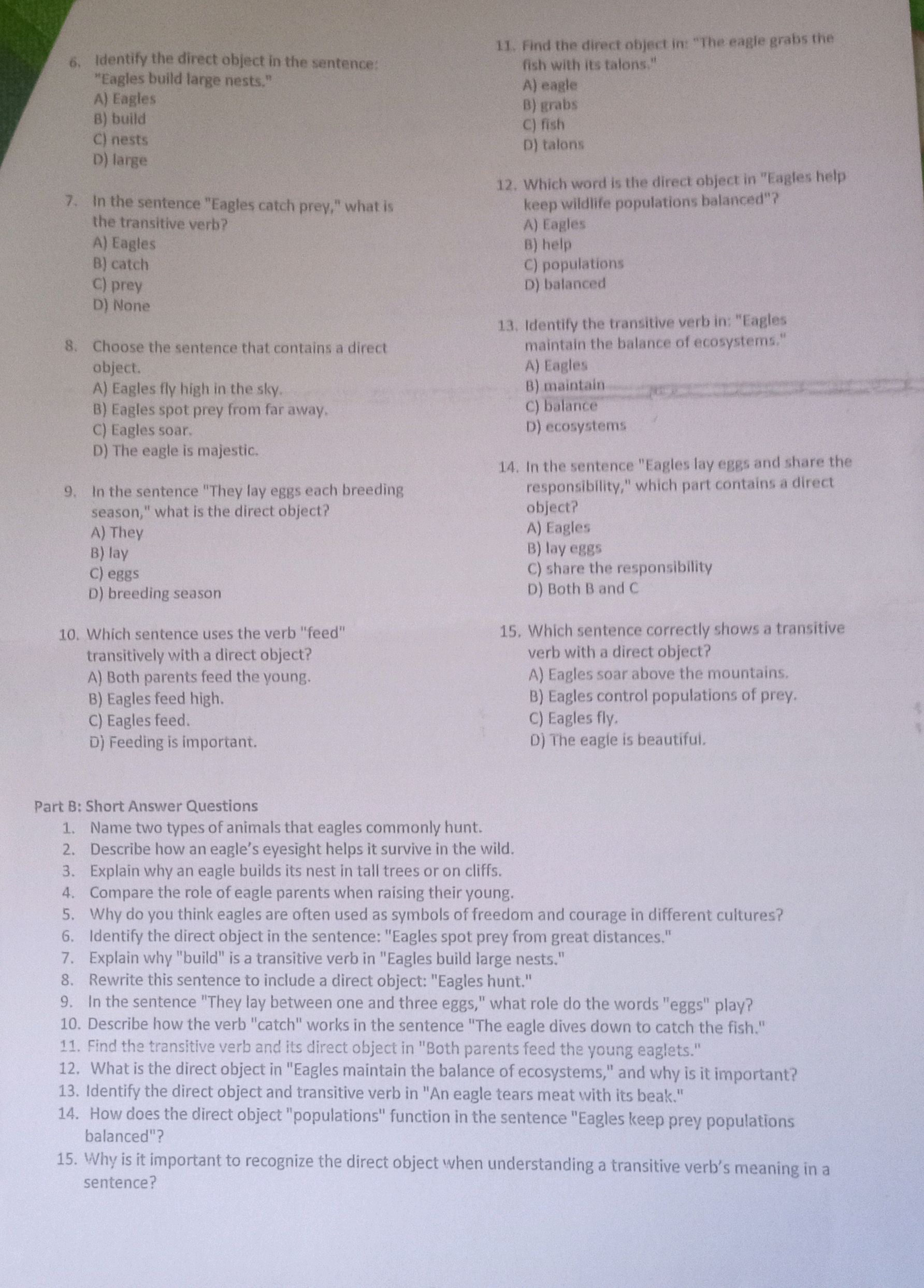 6. Identify the direct object in the | StudyX