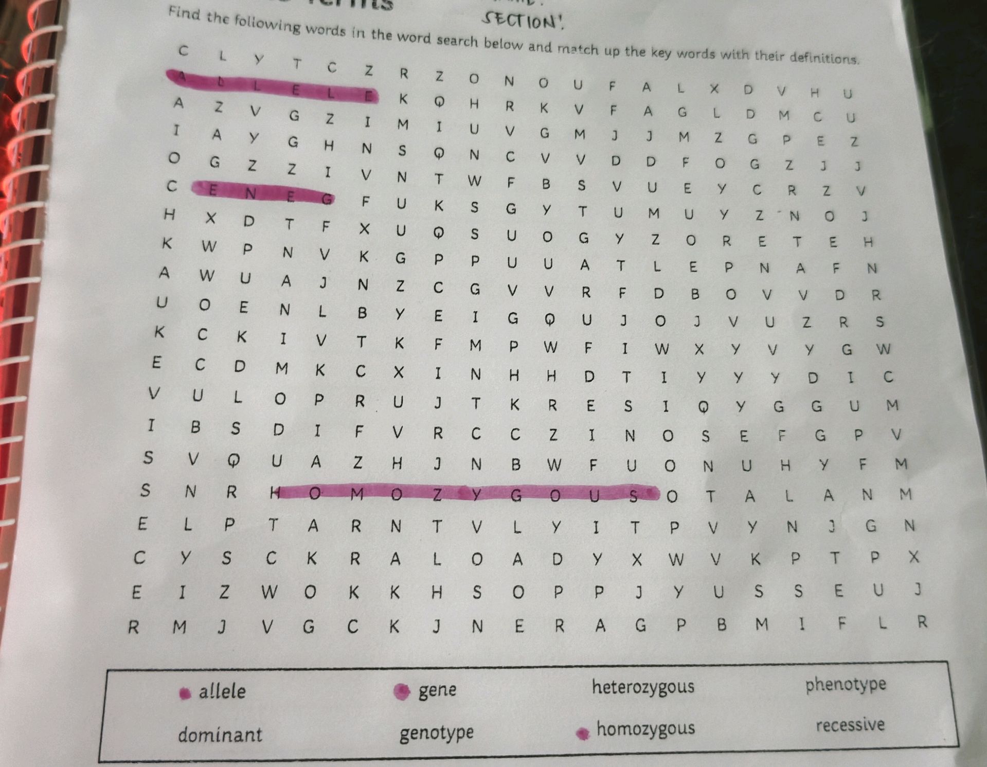 Find the following words in the word search