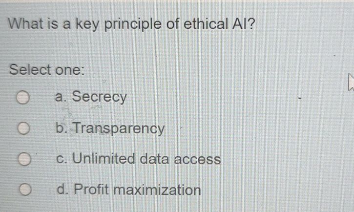 What is a key principle of ethical AI? | StudyX