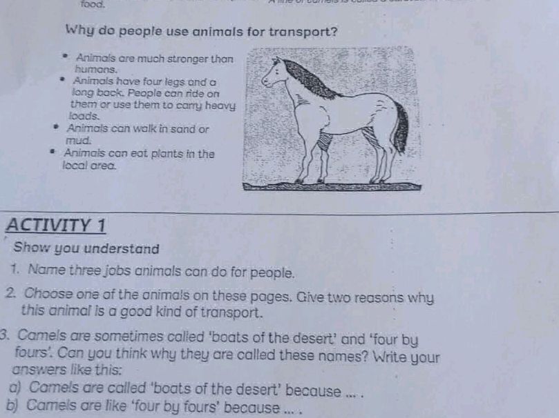 Why do people use animals for transport? | StudyX