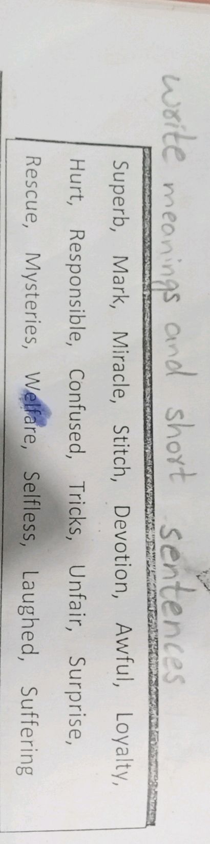 write meanings and short sentences Superb, | StudyX