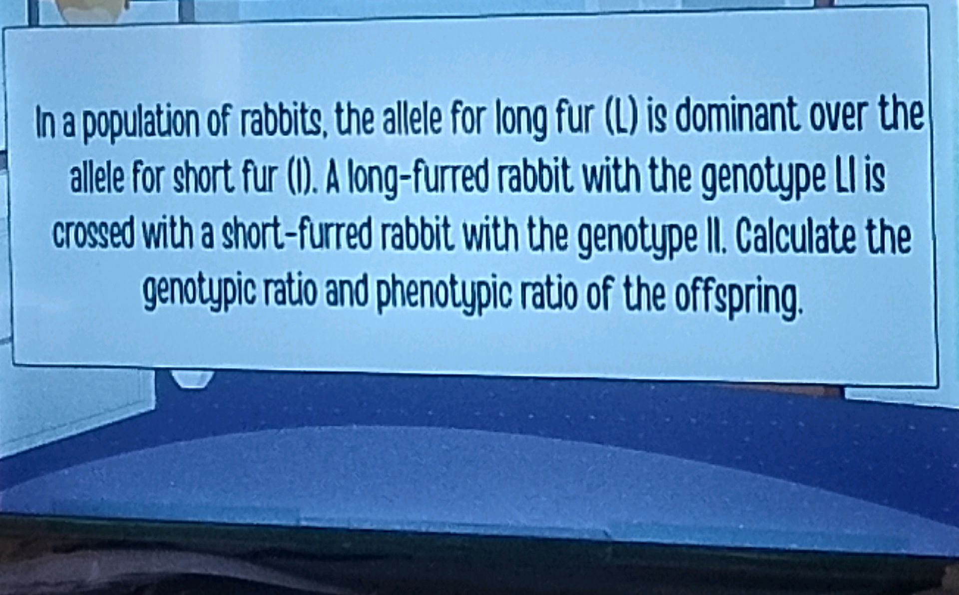 In a population of rabbits, the allele for | StudyX