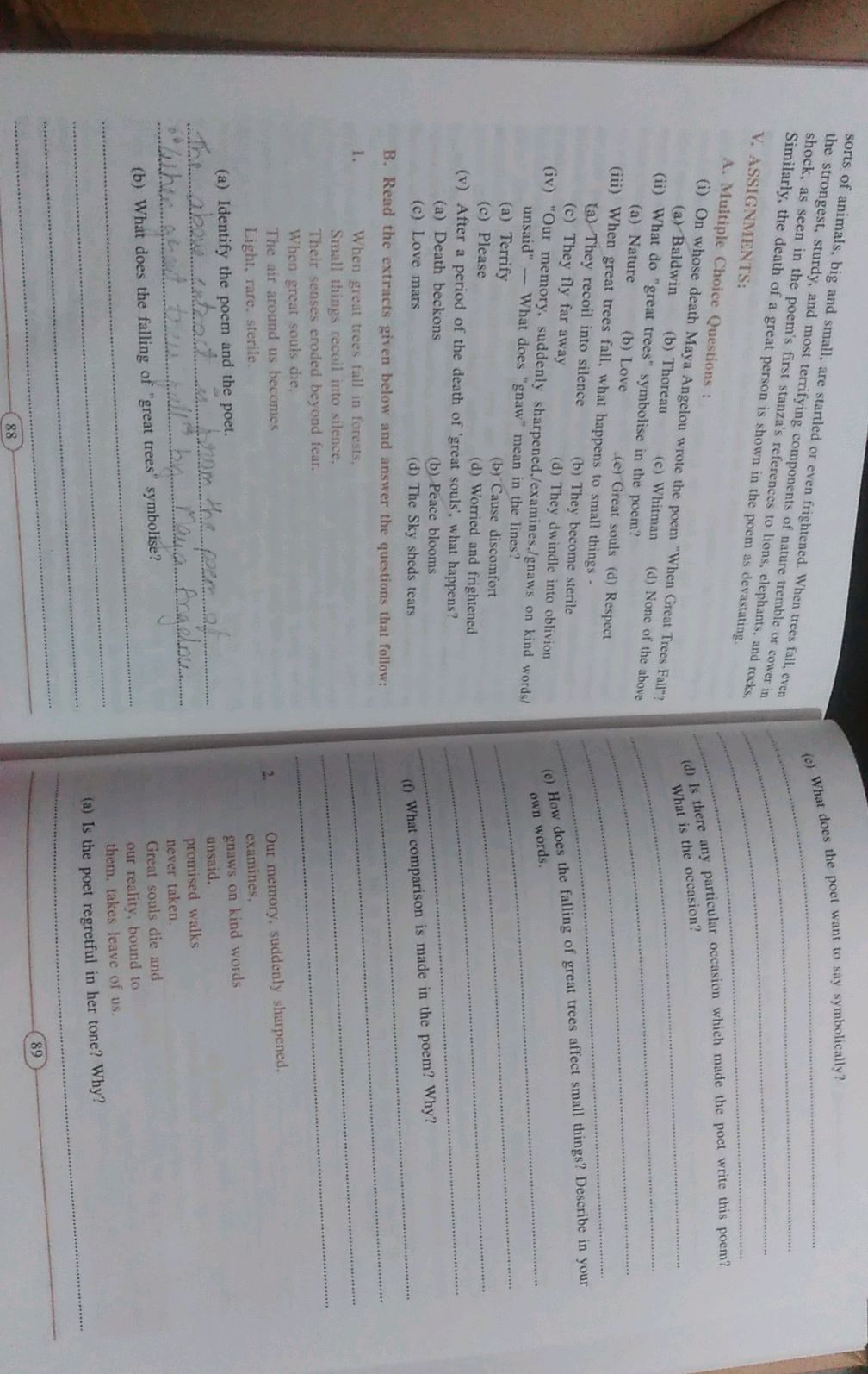 V. ASSIGNMENTS: A. Multiple Choice Questions | StudyX