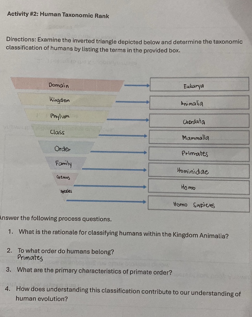 Directions: Examine the inverted triangle | StudyX