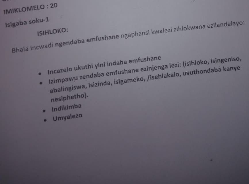 ISIHLOKO: Bhala incwadi ngendaba emfushane | StudyX