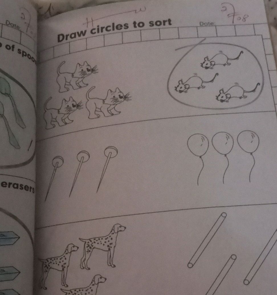 Sorting objects by drawing circles | StudyX