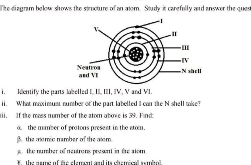 The diagram below shows the structure of an | StudyX
