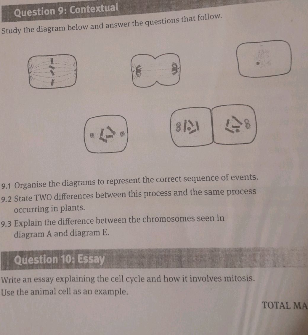 Question 9: Contextual Study the diagram | StudyX