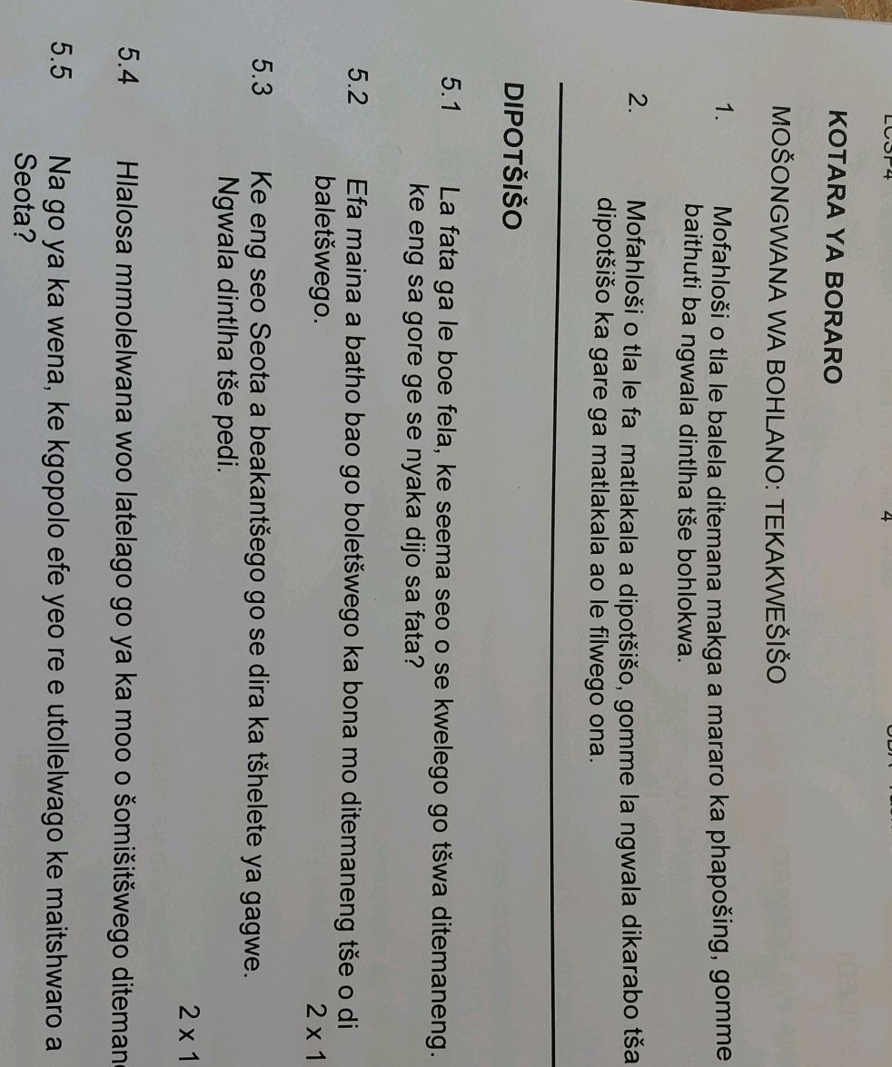 KOTARA YA BORARO MOŠONGWANA WA BOHLANO: | StudyX