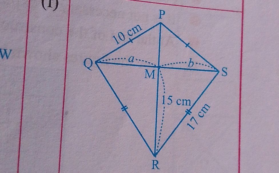 A kite is shown with the following | StudyX