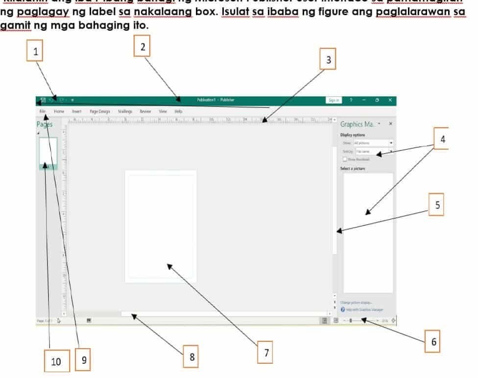 ng paglagay ng label sa nakalaang box. | StudyX