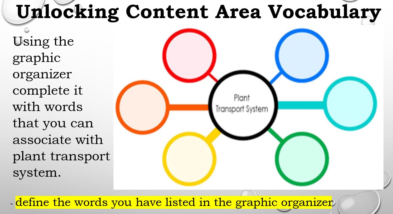 Using the graphic organizer complete it with | StudyX