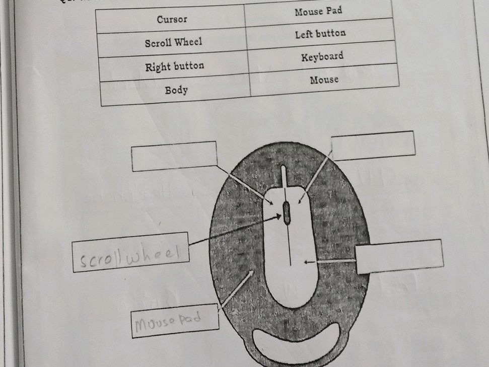 Cursor | Mouse Pad | |---|---| | | StudyX
