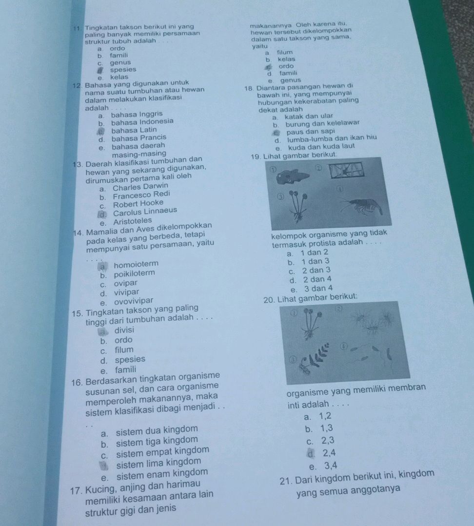 11. Tingkatan takson berikut ini yang paling | StudyX