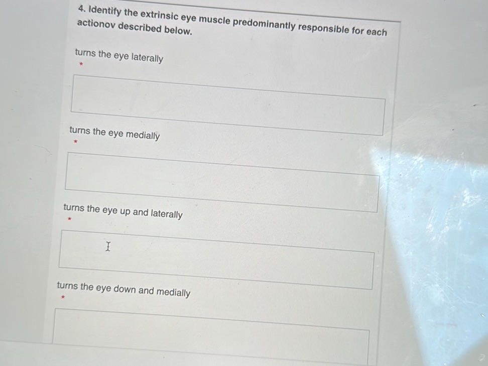 Identify the extrinsic eye muscle