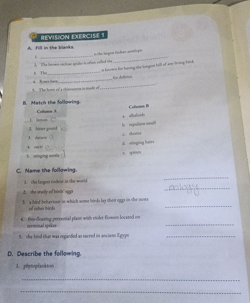 A. Fill in the blanks. 1. __________ is | StudyX