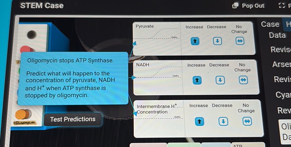 Oligomycin stops ATP Synthase. Predict what