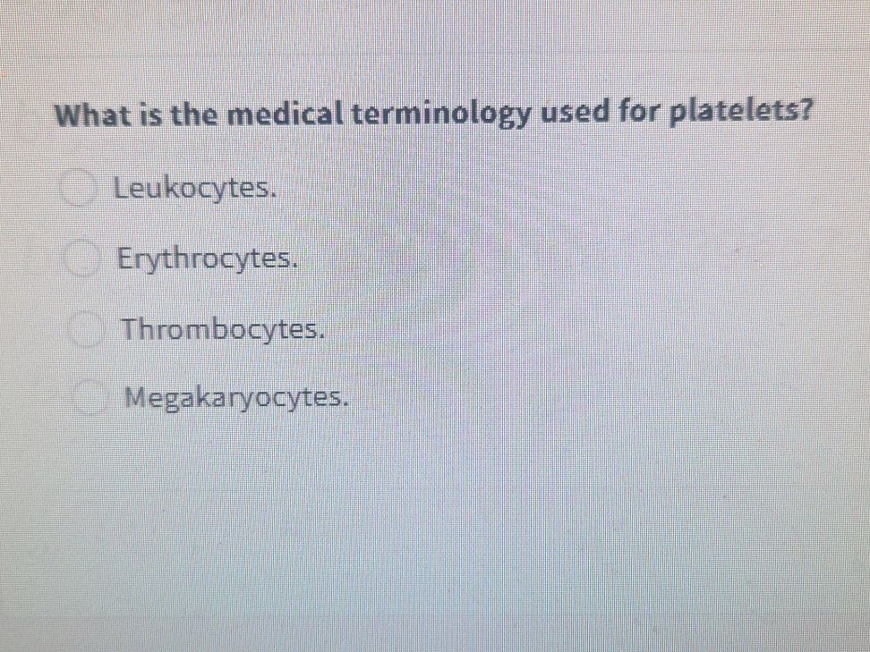 What is the medical terminology used for | StudyX