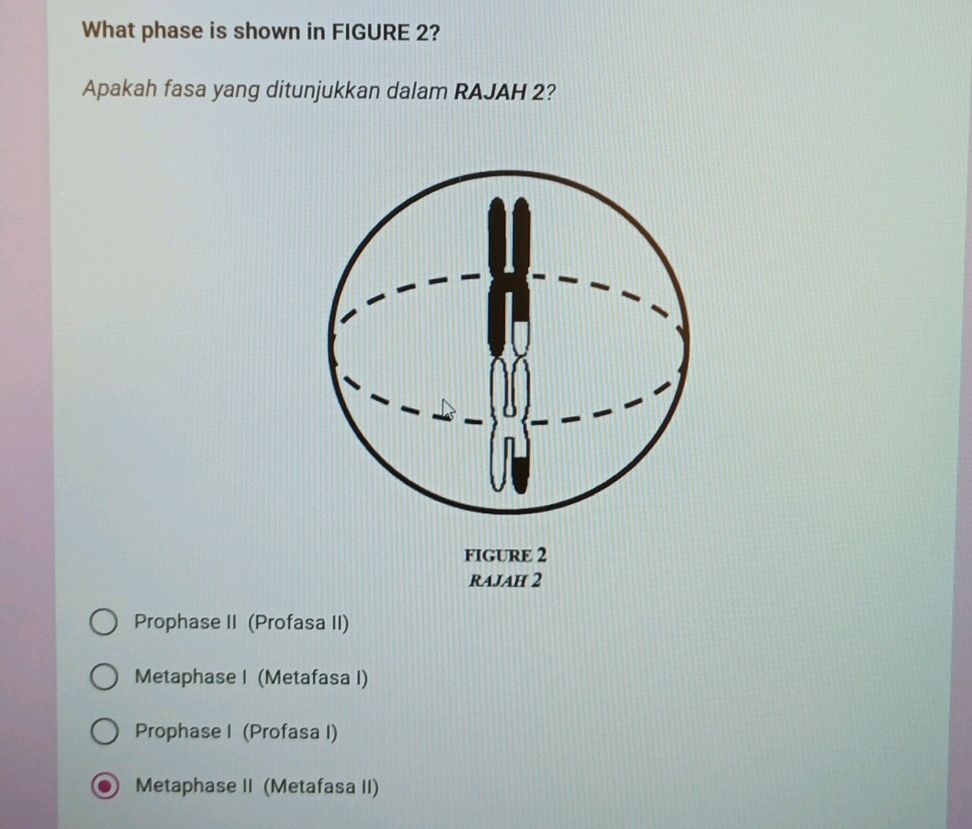 What phase is shown in FIGURE 2? Apakah fasa