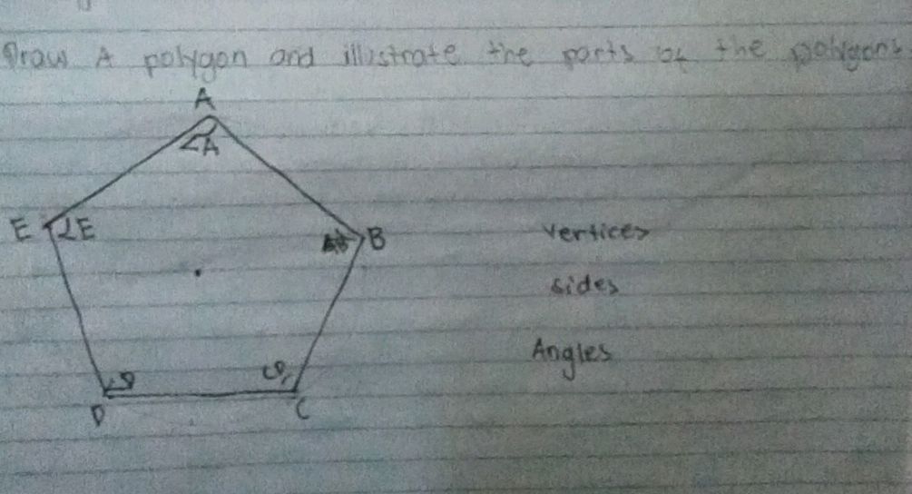 Draw a polygon and illustrate the parts of