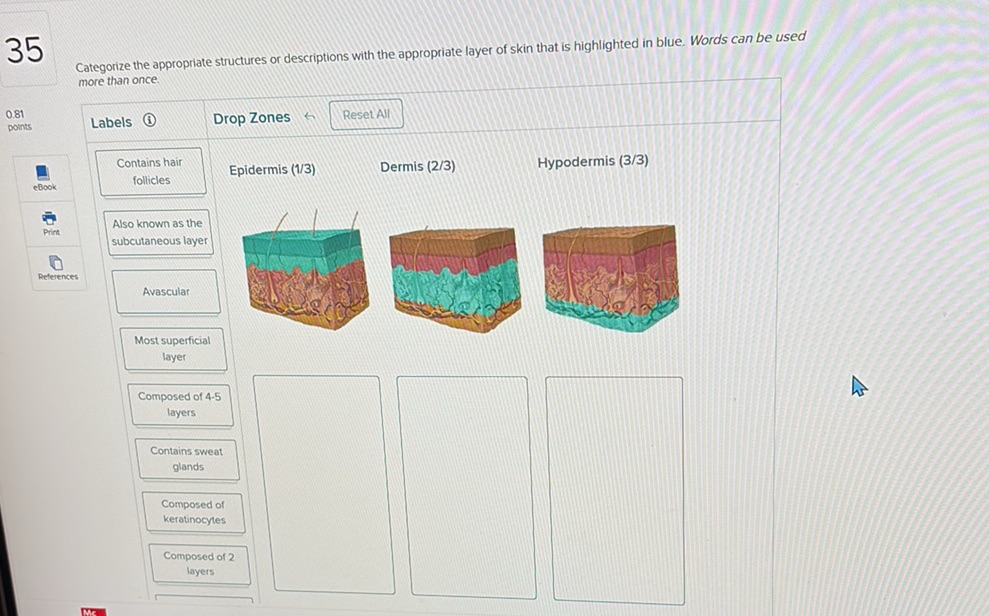 Categorize the appropriate structures or