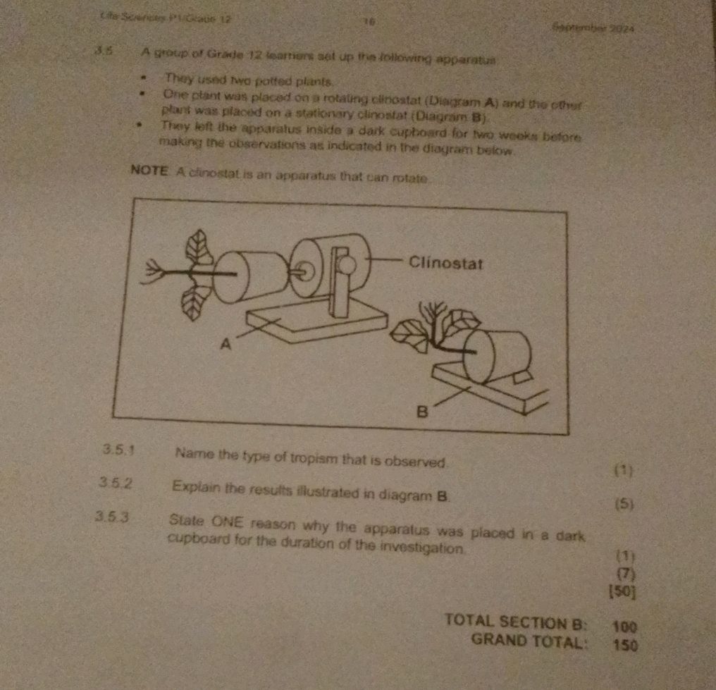 3.5 A group of Grade 12 learners set up the | StudyX
