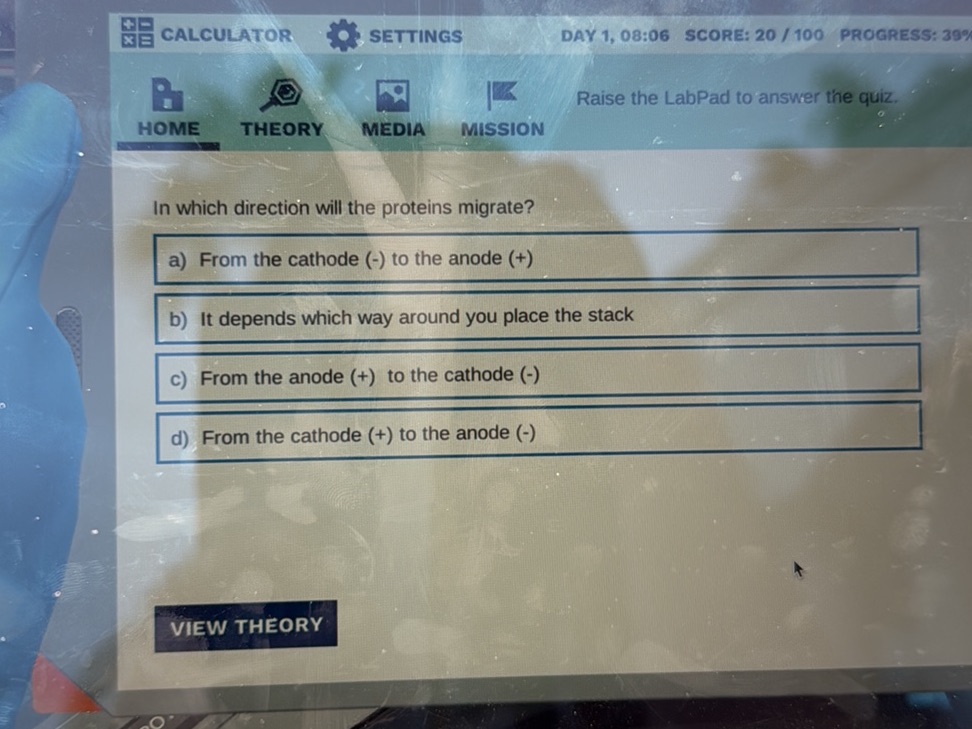 In which direction will the proteins